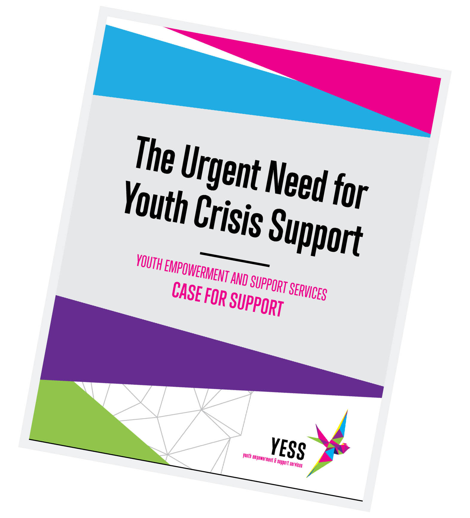 Case for Support - YESS