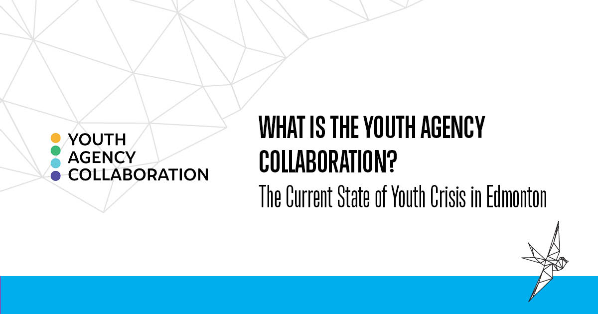What is the Youth Agency Collaboration? - YESS